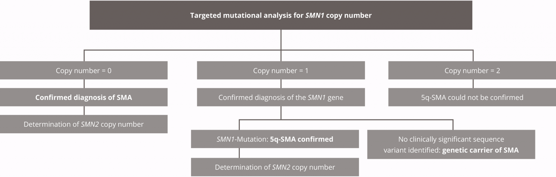 SMA diagnostics – ARCHIMEDlife