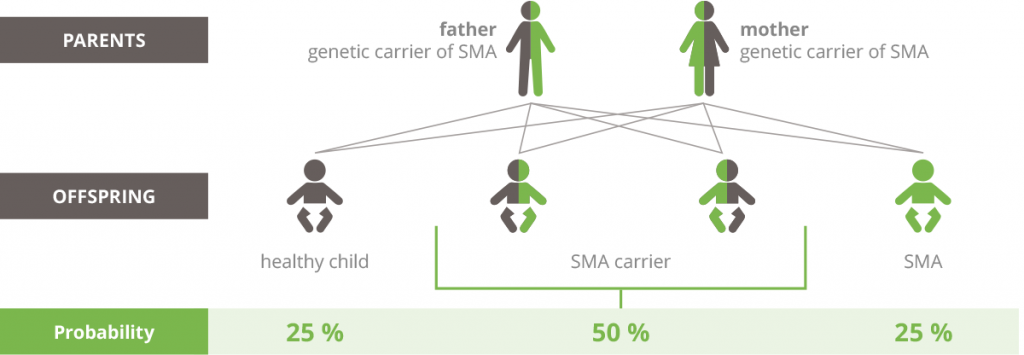 About SMA – ARCHIMEDlife